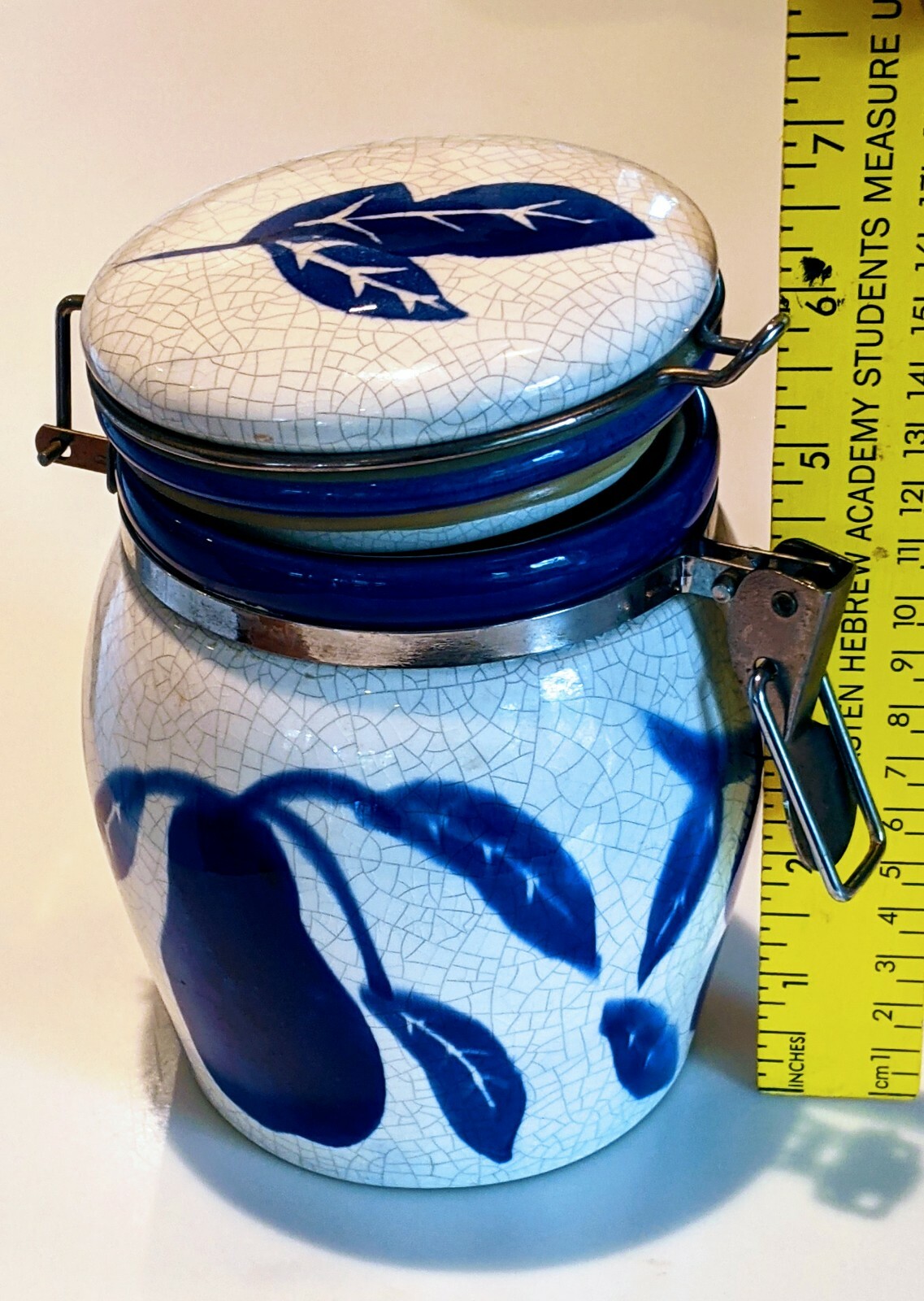 DESIGNPAC INC Blue on White Cannister Mason Canning Jar Locking Lid ...