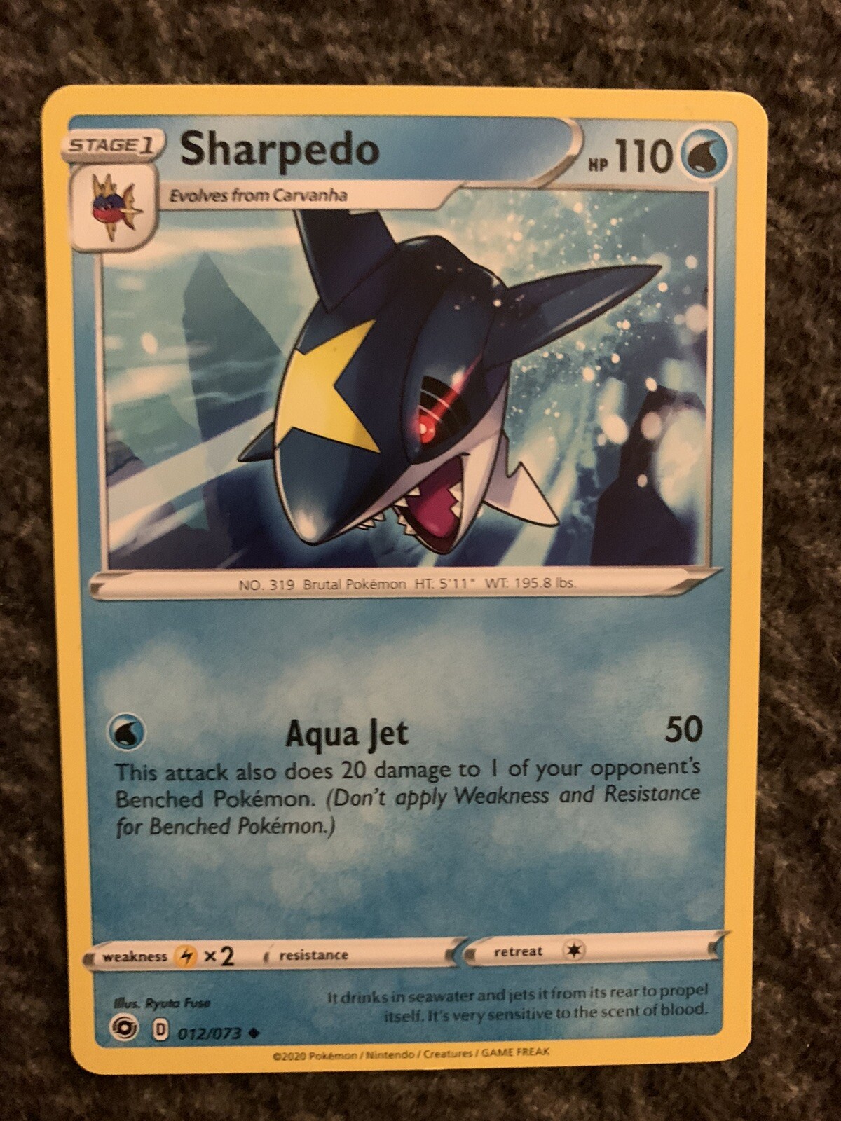 Pokémon TCG Sharpedo | eBay