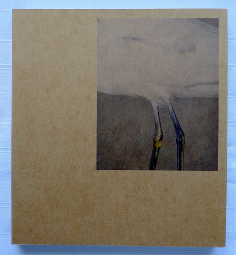 43-35 10th Street by Daniel Shea. Signed 1st Edition. Rare Photography ...