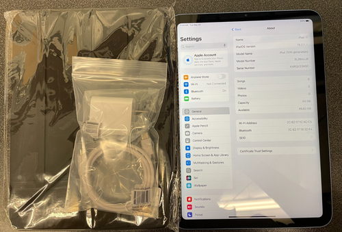 Apple iPad 10th Gen 64GB, Wi-Fi, 10.9 in-Blue- Fair condition | eBay