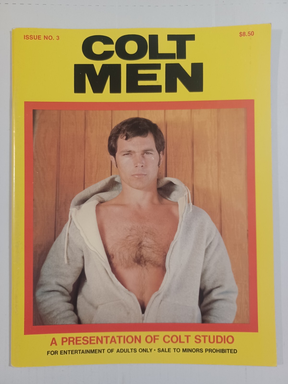 1977 Colt Men Issue No. 3, Colt Studio, Mike Davis / Al Parker | eBay
