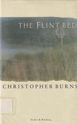 The Flint Bed by Christopher Burns (Hardcover: Fiction, Religious) | eBay
