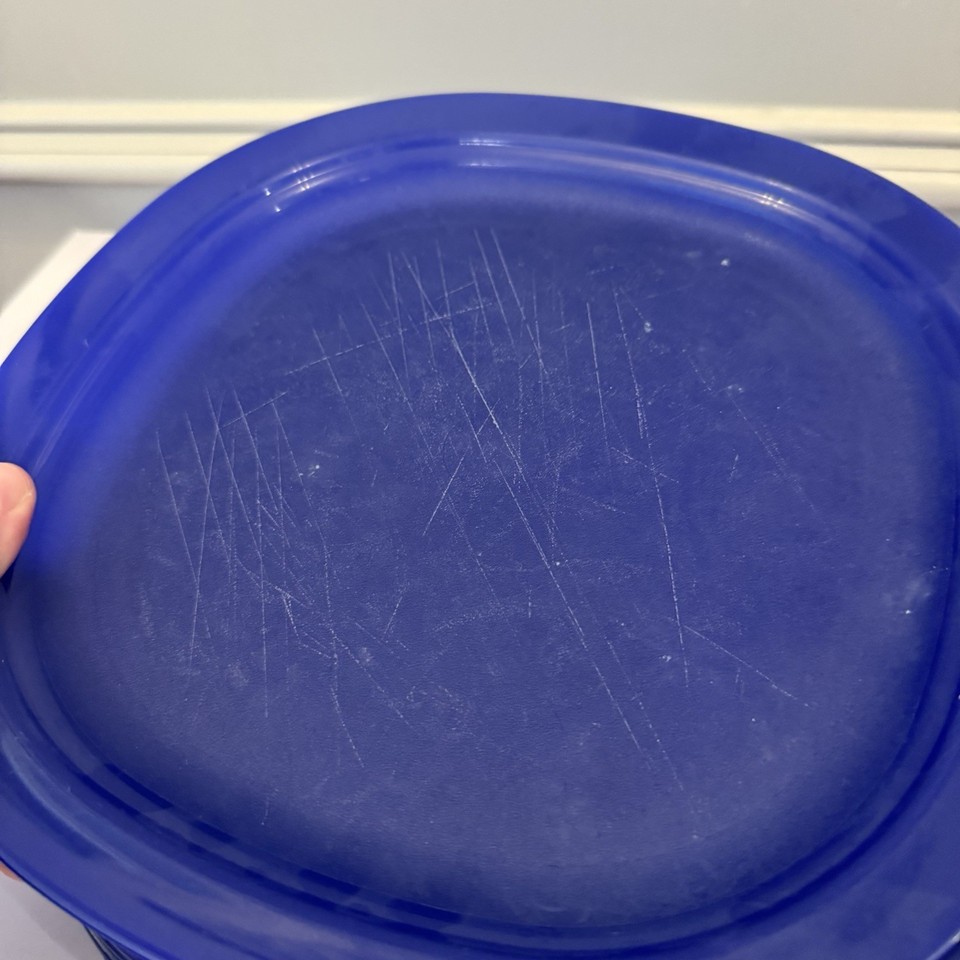 Tupperware Microwave Reheatable Luncheon Plates Tokyo Blue 9.5 inch Set ...