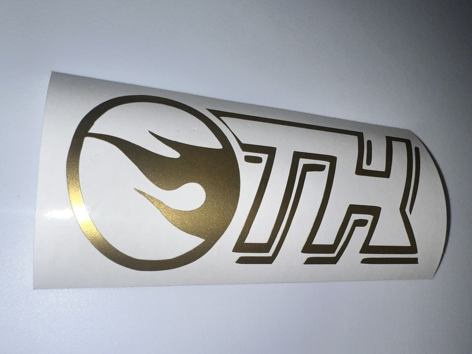 Hot Wheels Treasure Hunt Logo Sticker | eBay