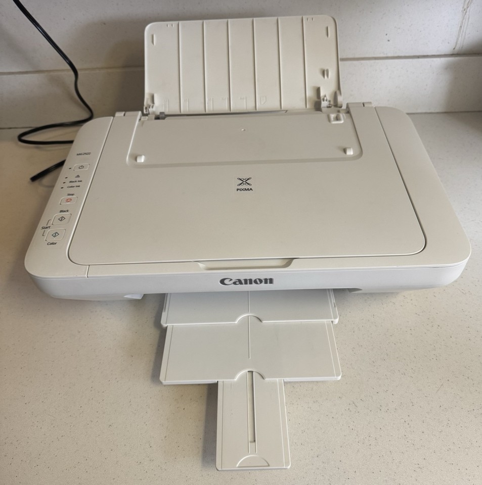 Canon PIXMA MG2522 All-In-One Printer - White | eBay