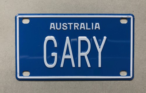 GARY Novelty Mini Number Plate | eBay