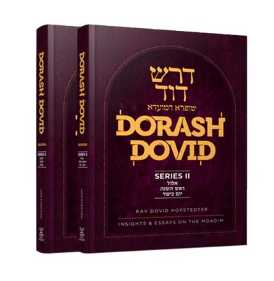 Dorash Dovid : Moadim 2 Volume Set (English) SERIES II by Rabbi Dovid ...