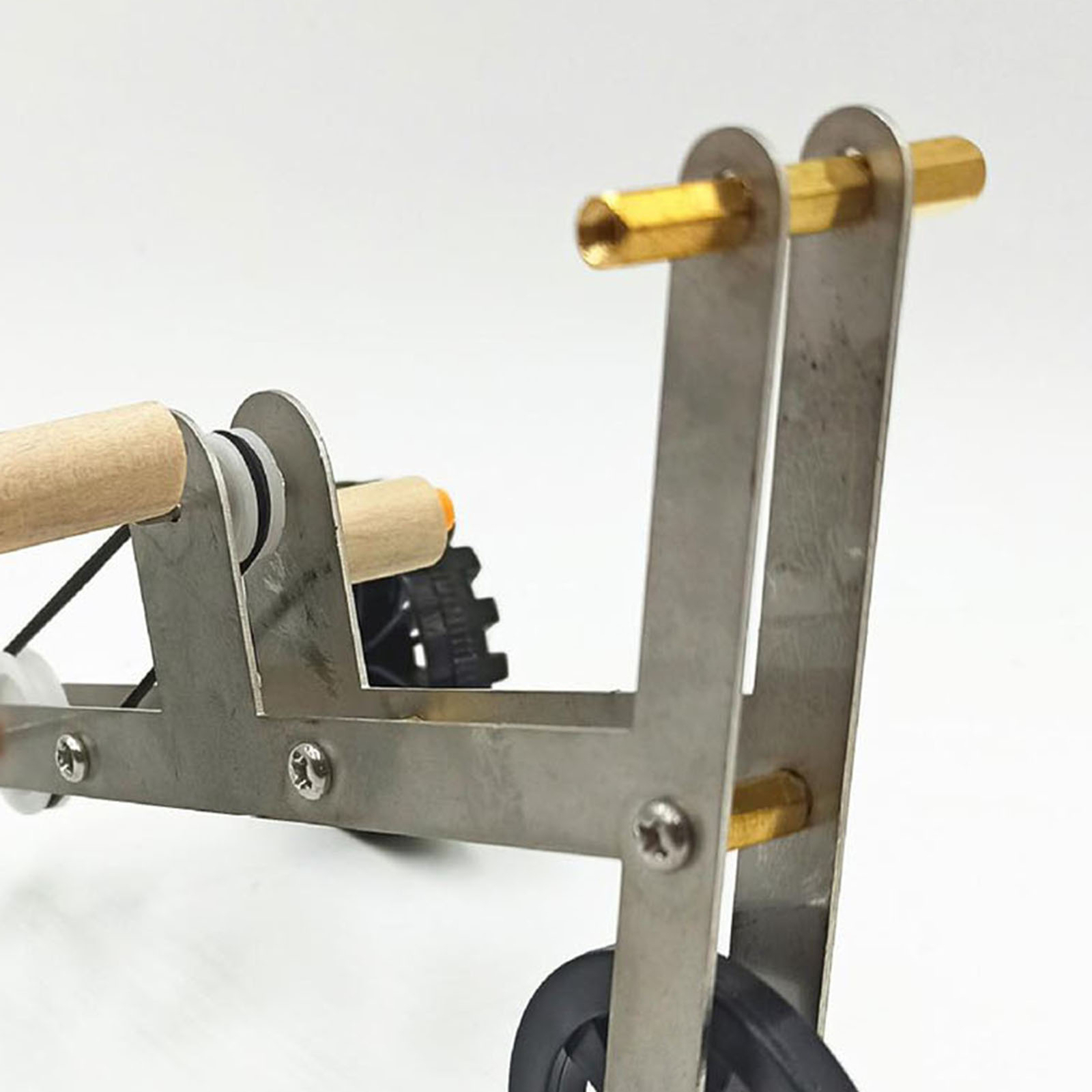 Cockatiel Bicycle Parakeet Bicycle Parrot Bicycle Bird Foot for ...