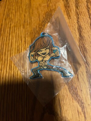 Shawn Michaels HBK Official WWE 2007 Keychain | eBay
