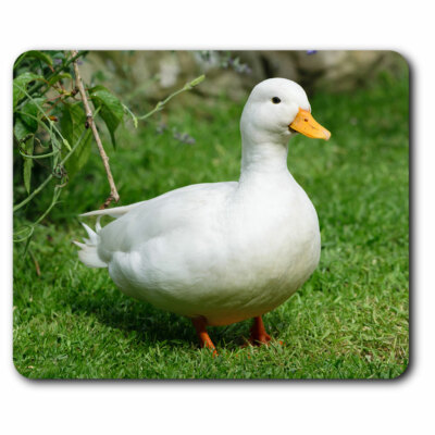 Computer Mouse Mat - White Call Duck Ducks Cute Office Gift #2283 | eBay UK