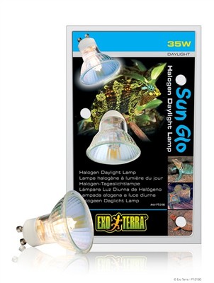 EXO TERRA SUN GLO HALOGEN SPOT - 35 WATT | eBay