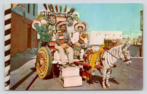 Picture w Colorful Zebra Donkey Sombrero Ave Revolucion Tijuana Mexico ...