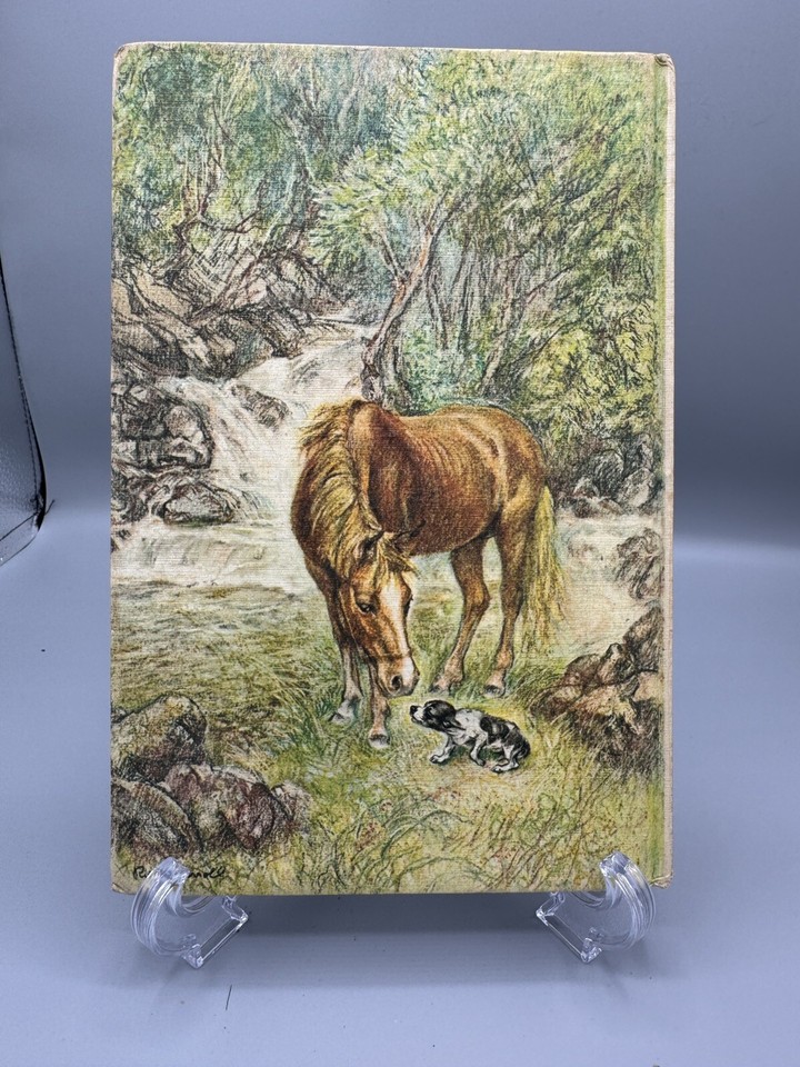Runaway Pony, Runaway Dog-Ruth &Lathrobe Carroll- 1963 Weekly Reader ...