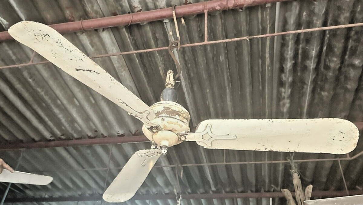 Antique White Ceiling Fans Look Edvivi 52 In. Indoor Brushed Nickel