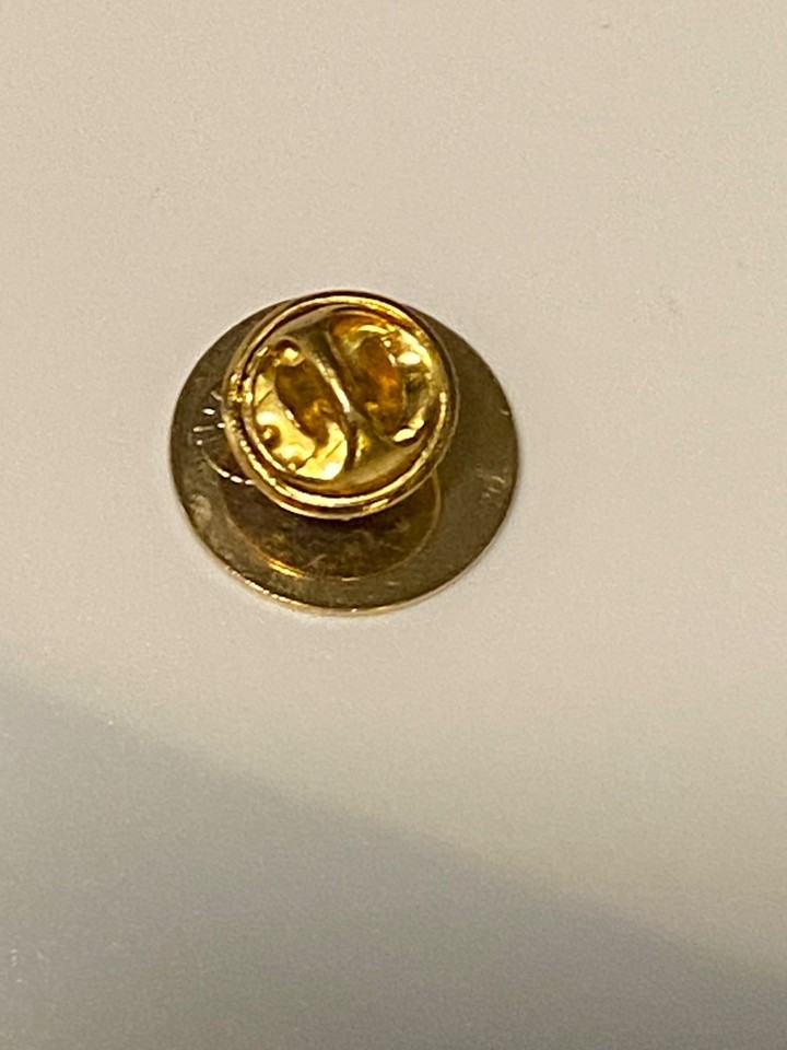 UAW V-CAP United Auto Workers Labor Union lapel pin | eBay