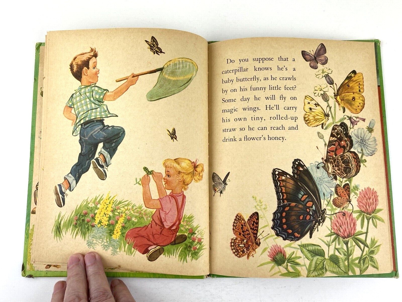 This Magic World Cynthia Koehler Wonder Books Vintage Childrens Book ...