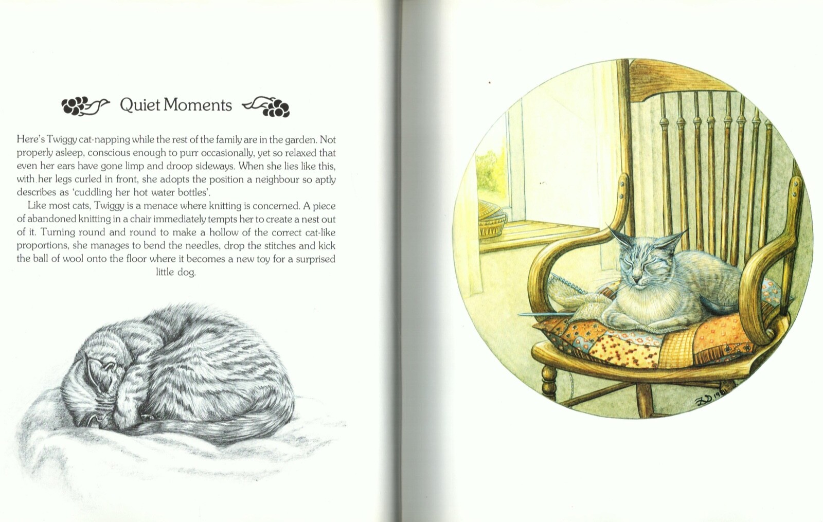 Zoe's Cats by Zoe Stokes (1982, Hardcover) for sale online | eBay UK