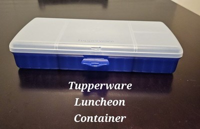 Tupperware Lunch N Things Divided Container, Blue With Opaque White Lid ...