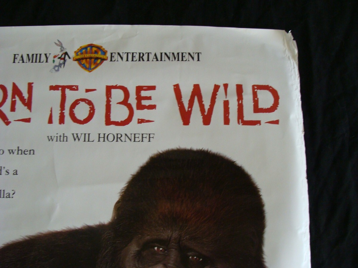 Wil Horneff 2013 Wil Horneff Pictures | Rotten Tomatoes