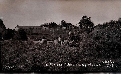 VINTAGE NEGATIVE; CHINESE THRASHING BEANS;CHEFOO, CHINA; CIRCA 1912 | eBay