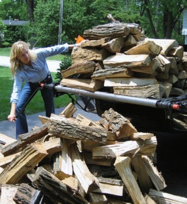 Loadhandler LH2200 Full-Size Pickup Truck Unloader - Standard | eBay