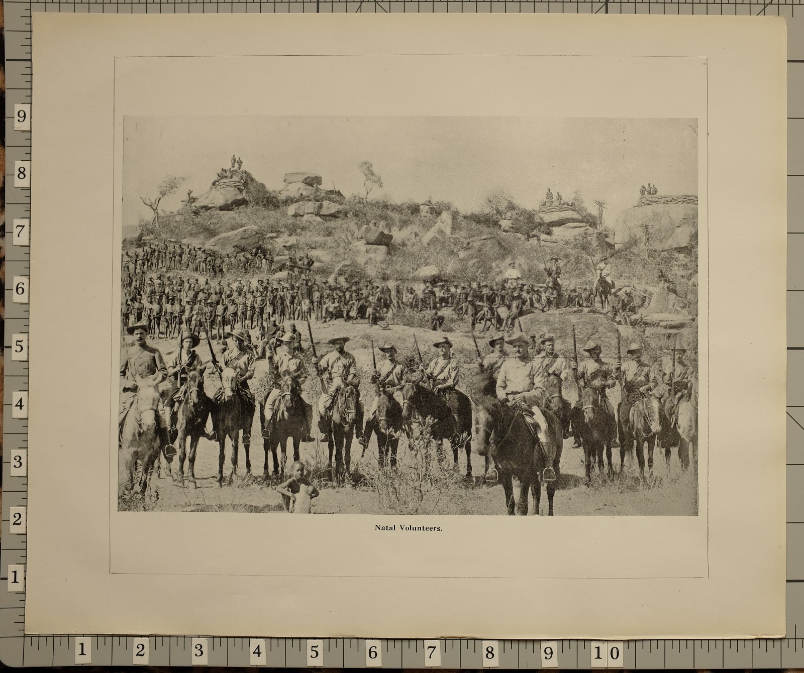 Natal Volunteer Cavalry - British Empire: Colonial Including South ...