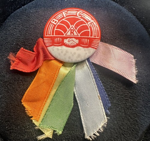 VTG BFCL International Order of the Rainbow for Girls Lapel Pin w ...