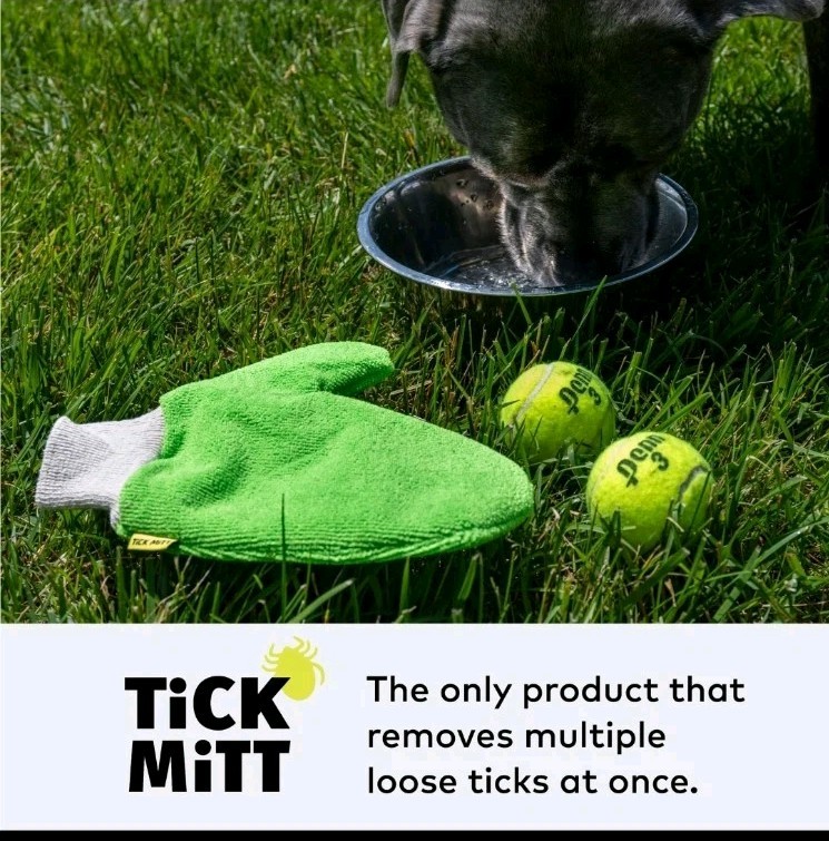 TiCK MiTT Green Tick Removal Glove Gently Remove Ticks from Humans ...