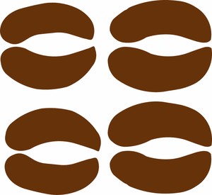 bison track / footprint sticker / buffalo hoof print decal | eBay