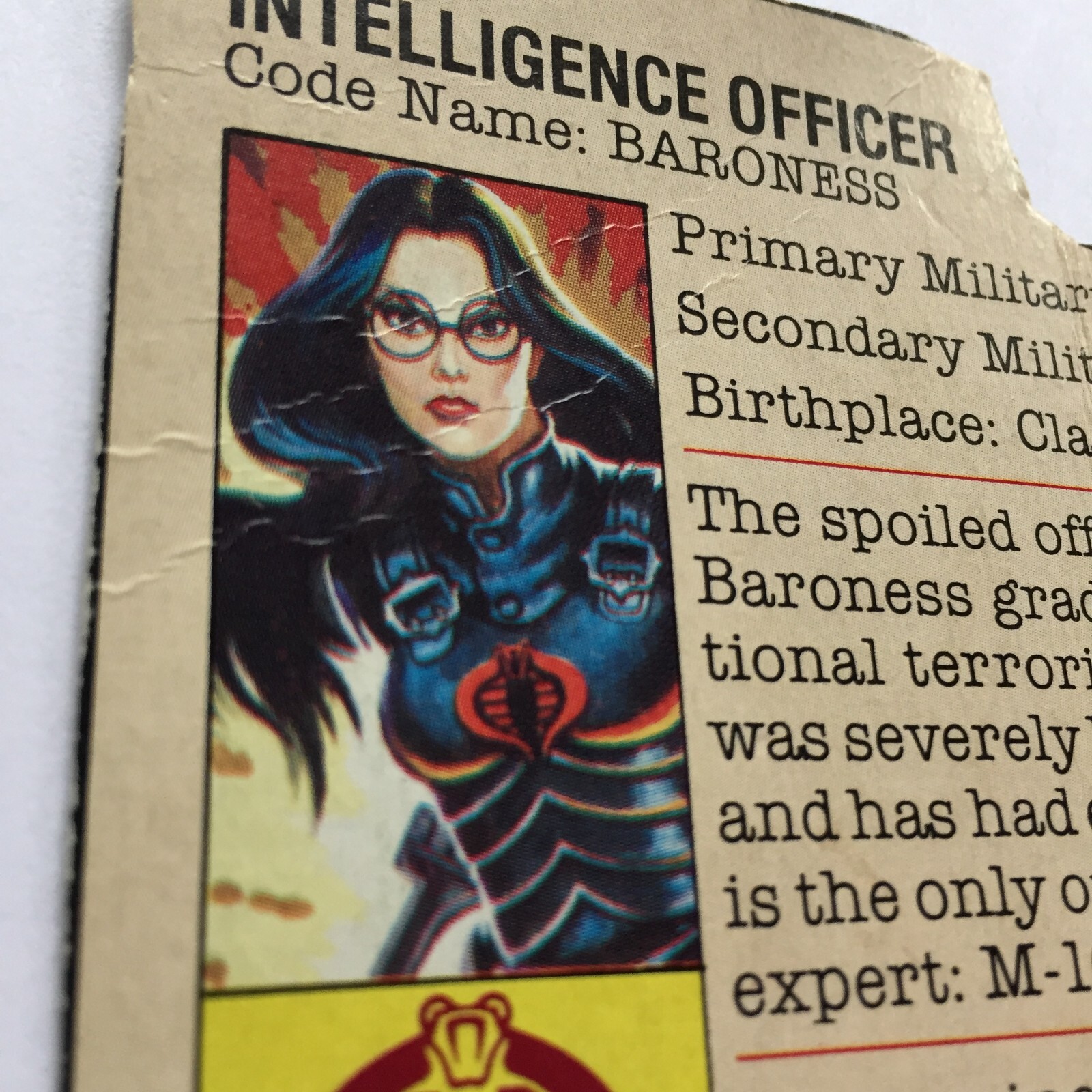 G.I. Joe Cobra BARONESS v.1 File/Bio Card Vintage 1984 | eBay