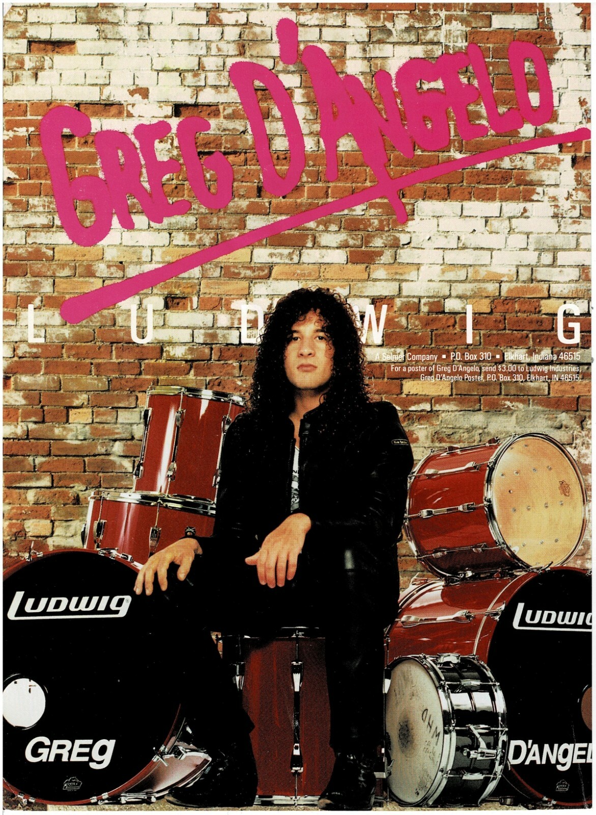 LUDWIG DRUMS - GREG D'ANGELO - 1991 Print Advertisement | eBay