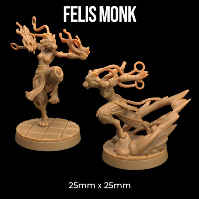 Felis Monk by Dragon Trappers Lodge | DND Miniature RPG | eBay