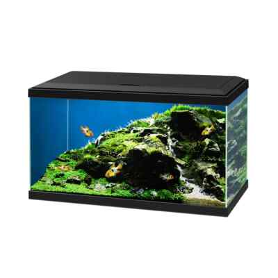 58L Aquarium LED Freshwater Fish Tank with High-Quality Natural ...