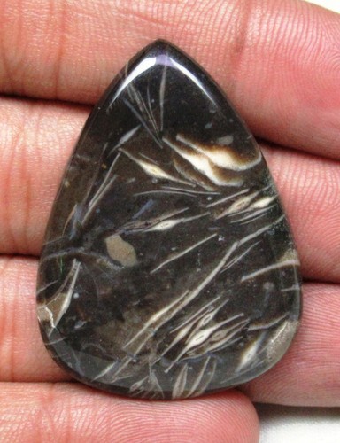 50.60 CTS NATURAL BAT CAVE JASPER CABOCHON PEAR SHAPE LOOSE GEMSTONE B ...