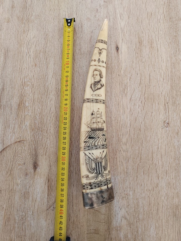 Scrimshaw Tusk 15 Inch The Ship Regulus, Captain James Hoad Resin ...