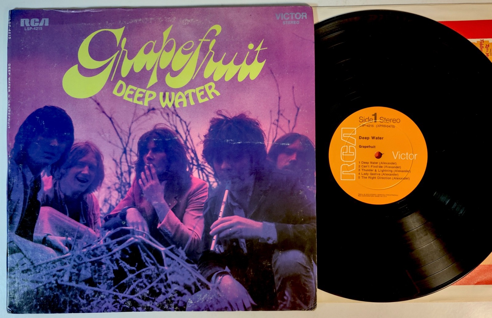 Grapefruit Deep Water LP Psych | eBay