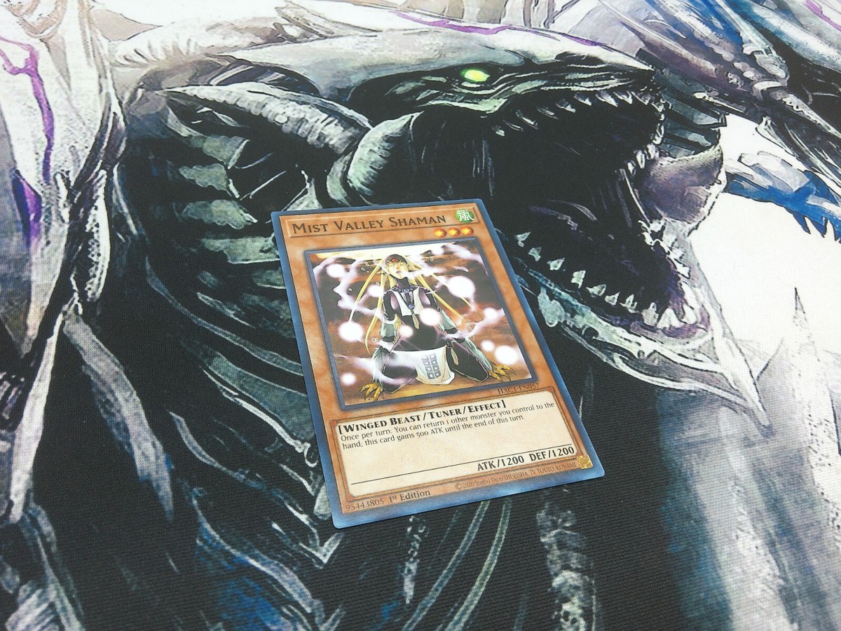 Mist Valley Shaman Art