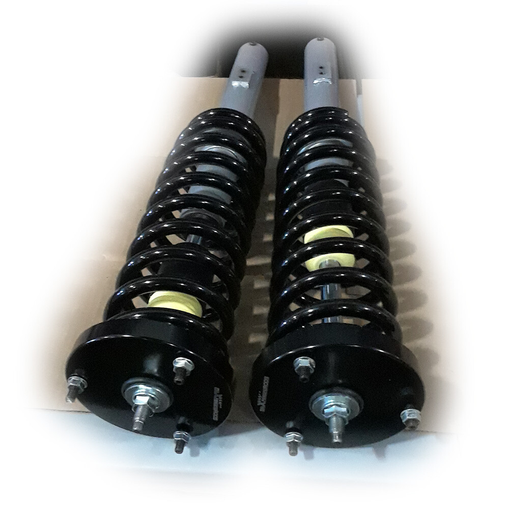 Front Air Springs to Coil Spring Conversion Kit For Mercedes S55AGM ...