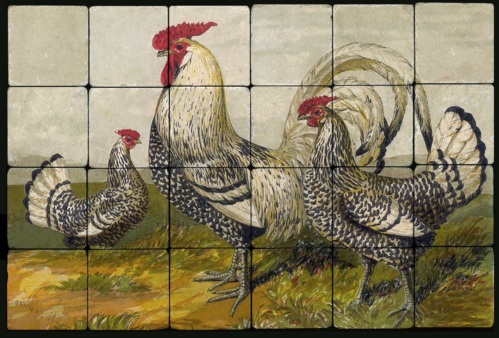 24x16 Silver Spangled Chickens Kitchen Backsplash Mural Tumbled Marble ...