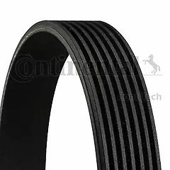 Drive Belt 0029935096 OEM | eBay Australia