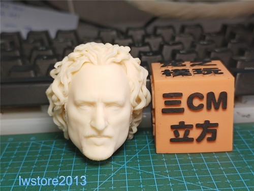 1:6 Head Sculpt Tig Soldier Man Carved For 12" Male Action Figure Body ...