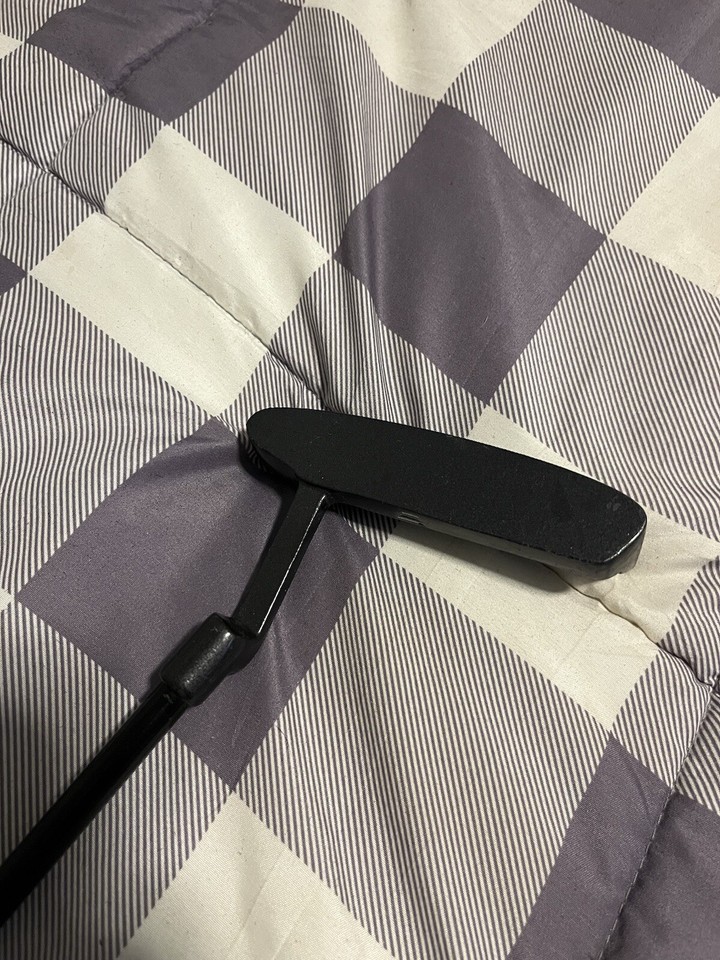 Acculite Titanium Putter | eBay