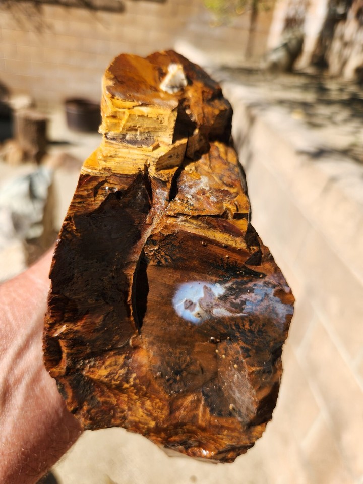 Deschutes Biggs Picture Jasper Rough Specimen 6.5"X6"X3" 3.7 Pounds See ...