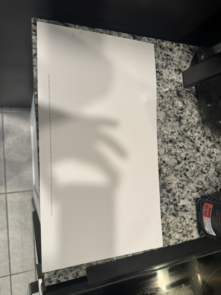 DISNEY 100 Once Upon A Studio Lithograph Animation Photo Characters ...