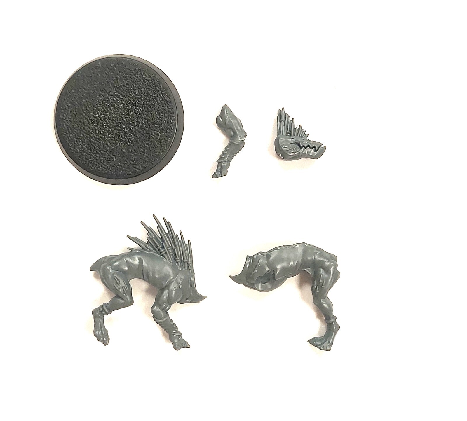 Warhammer 40000 T'au Empire KROOT HOUNDS single models | eBay.de