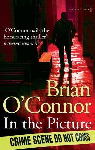 In the Picture - Paperback By OConnor, Brian - GOOD | eBay