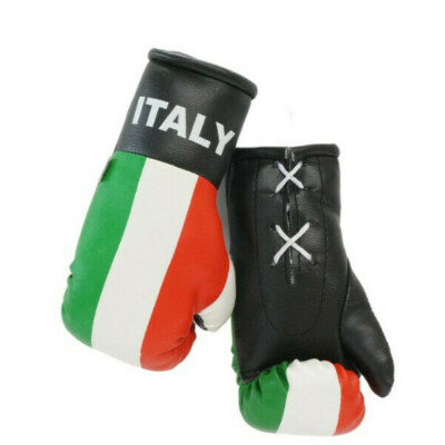 Italy Boxing Glove / Italy Flag / Mini Italy Boxing Glove | eBay