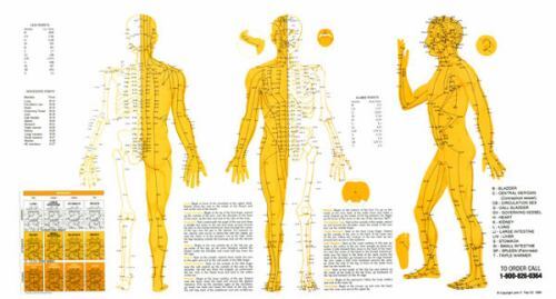 TOUCH for HEALTH Meridian Chart : Acupuncture Meridian Chart by John ...