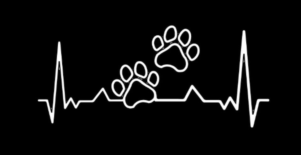 PAW PRINT LIFELINE Vinyl Decal Sticker Car Window Bumper Dog Cat Love ...