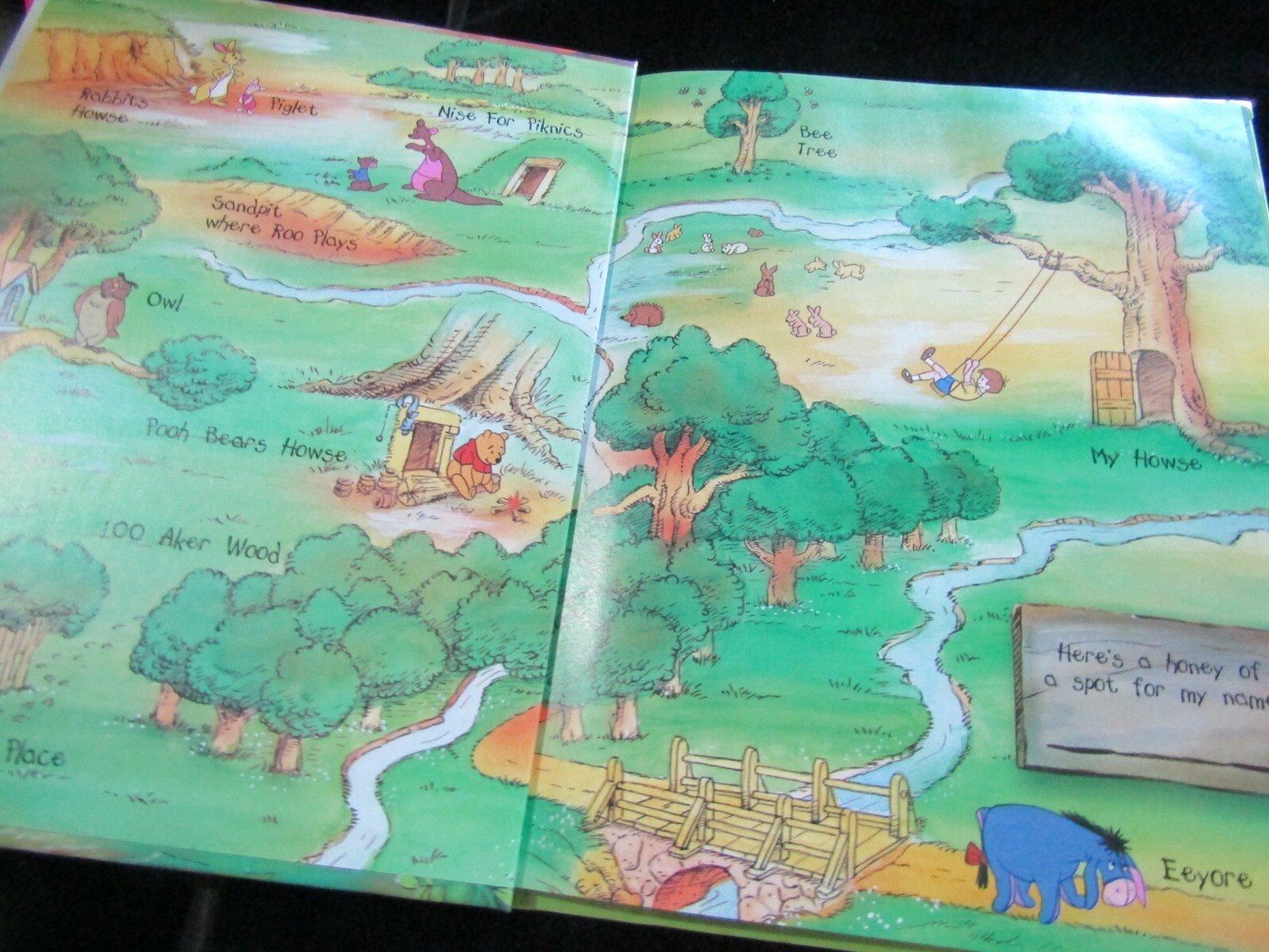 Disney's Winnie The Pooh How To Catch a Heffalump Book 2005 | eBay